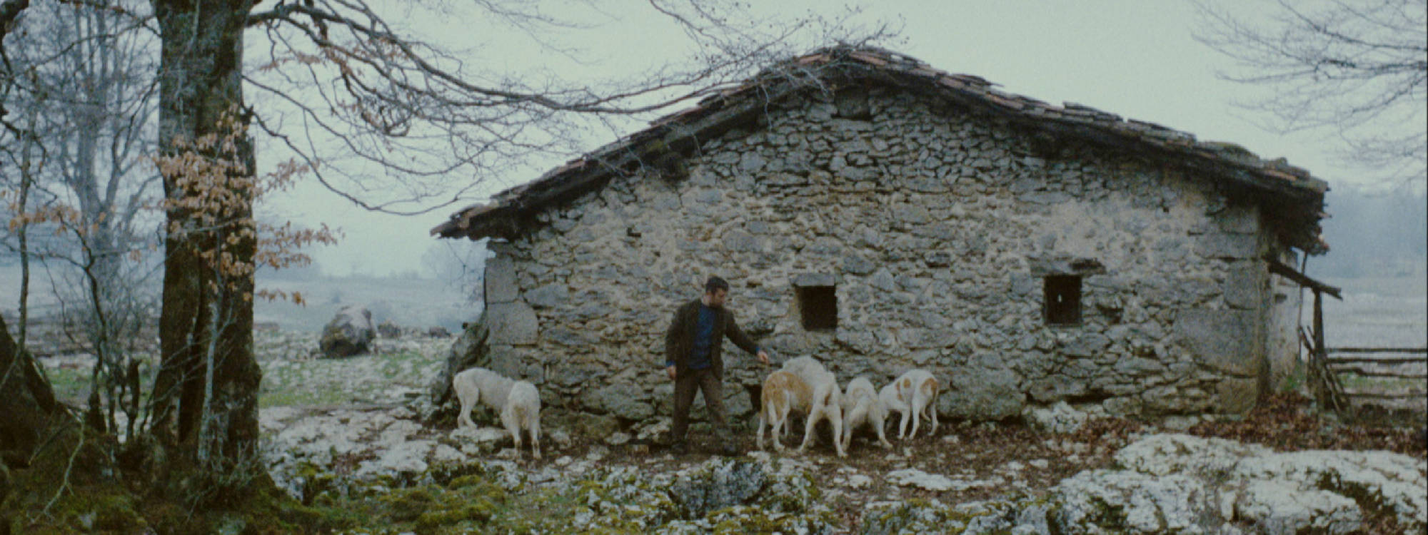 Tasio — Maison de la Culture d’Amiens